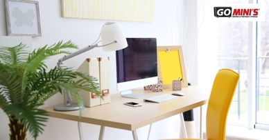 Portable Storage Containers | Moving Containers | Go Mini’s®